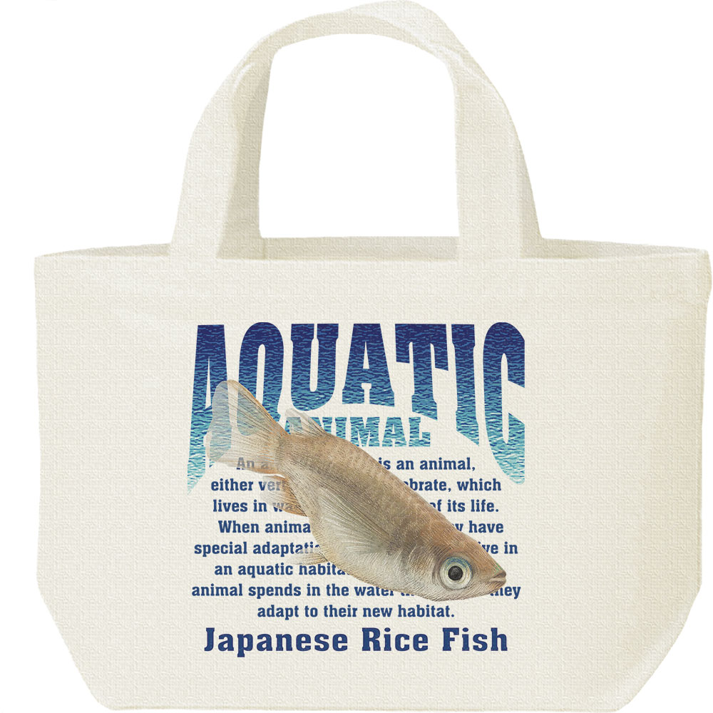 水生生物シリーズです。めだか、目高、淡水魚、観賞魚　