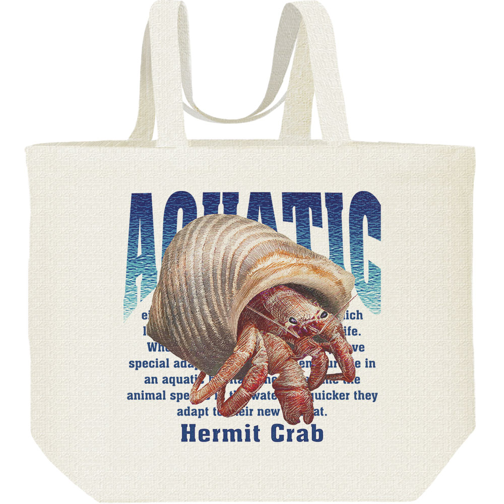 水生生物シリーズです。宿借、寄居虫、やどかり、Hermit crab、甲殻類　
