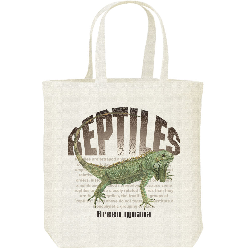 は虫類のシリーズです。イグアナ トカゲ 蜥蜴 ハチュウ類　