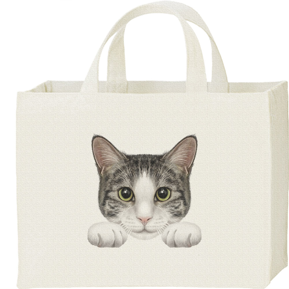 ネコの顔のシリーズです。さばとら白 鯖虎白 サバトラ 雑種 ミックス ねこ ネコ　