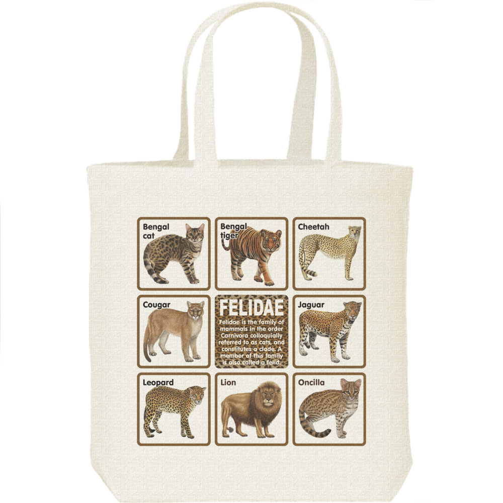 ベンガル(猫)、ベンガルトラ(虎)、チーター、ピューマ(クーガー)、ジャガー、ヒョウ(豹)、ライオン(獅子)、ジャガーネコ(タイガーキャット)　