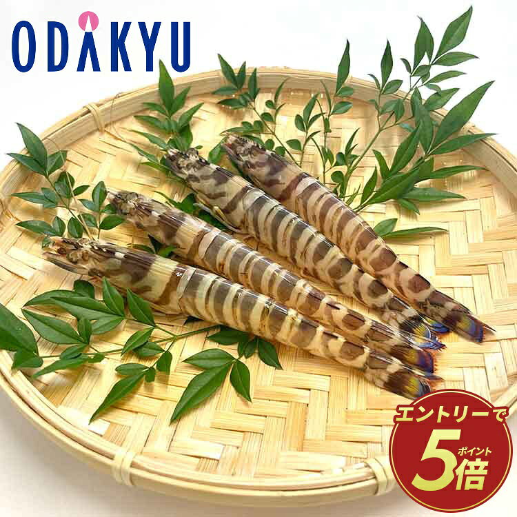 加工地：愛知 産地：車海老（愛知県・天然） 重さ：約0.5kg 箱サイズ：28.5×24×6cm 賞味期限：製造日より60日間 内容：天然車海老40g×4【商品特長】 三河湾はその特殊な地形より昔から天然の豊富な栄養素が行き交うおいしい魚が...