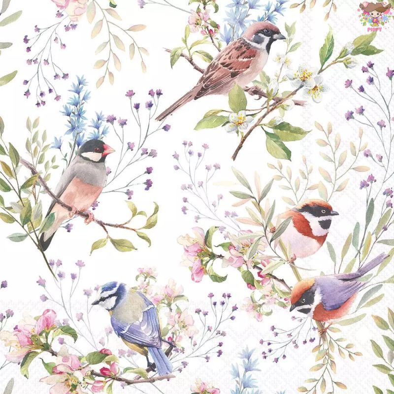 商品詳細 商品名 オランダのAmbiente Europe BV社のペーパーナプキン 柄名 Busy birds 商品説明 オランダ　Ambiente Europe BV社のペーパーナプキン。ヨーロッパならではの素敵なデザインです。 3枚重...