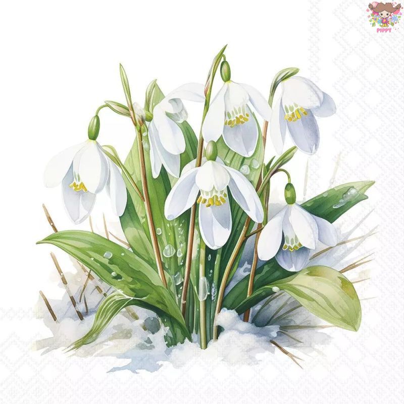 商品詳細 商品名 オランダのAmbiente Europe BV社のペーパーナプキン 柄名 Blooming snowdrops 商品説明 オランダ　Ambiente Europe BV社のペーパーナプキン。ヨーロッパならではの素敵なデザイ...