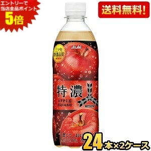 メーカー希望小売価格はメーカーカタログに基づいて掲載しています 　『三ツ矢特濃アップルスカッシュ』は、リンゴの甘さと爽やかな香りを楽しめる果汁炭酸飲料です。アップルピューレとアップルシロップを使用した果汁20％の濃厚な味わいが特長で、リラッ...