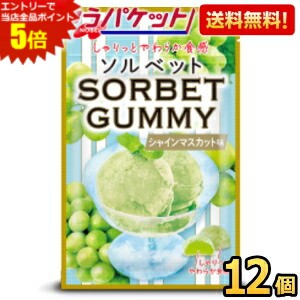まるでソルベを食べているような体感を生み出す、しゃりっとやわらかなシャインマスカット味の新食感グミです。専門店のような世界観があふれるデザインに仕上げました。 商品詳細 メーカー ノーベル 品名 50gSORBET ソルベット グミ シャイ...