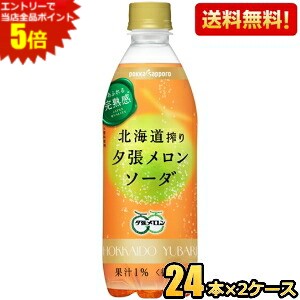 夕張メロン果汁を使用した「北海道搾り夕張メロンソーダ」です。 完熟夕張メロンの香りを研究し、その芳醇な香りを表現しました。あふれる完熟感を微炭酸の心地よい刺激とともにお楽しみいただけます。頑張った自分へのご褒美にぴったりです。 商品詳細 メ...