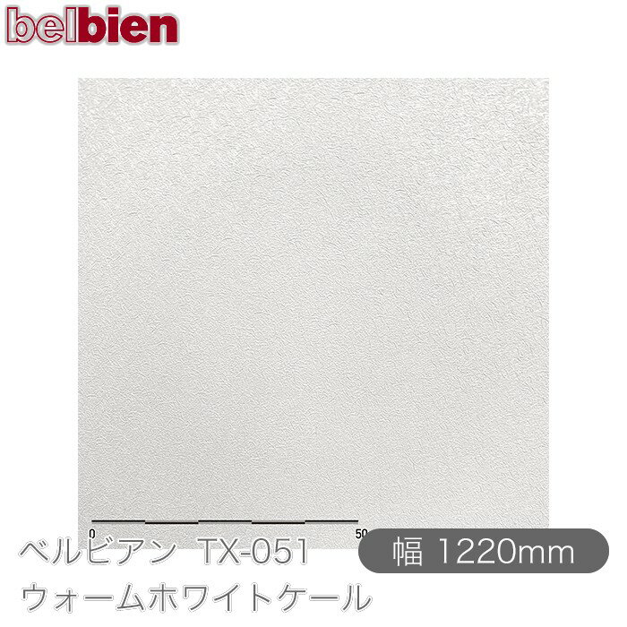 ●ご発注後のキャンセル・交換・返品は一切お受けできません。 ●沖縄県、離島への発送は追加送料がかかります。 【ご注文前に必ずご確認いただき予めご了承ください】 ※切売販売のフィルムは精度のあるカットではございません。 ※ご注文の長さより長め...