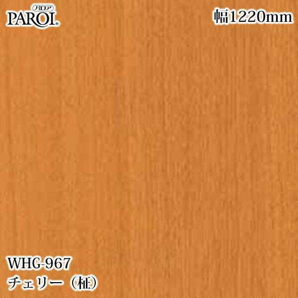 ●ご発注後のキャンセル・交換・返品はできませんのでご了承ください。 ●沖縄県、離島への発送は追加送料がかかります。 【ご注文前に必ずご確認いただき予めご了承ください】 ※切売販売のフィルムは精度のあるカットではございません。 ※ご注文の長さ...