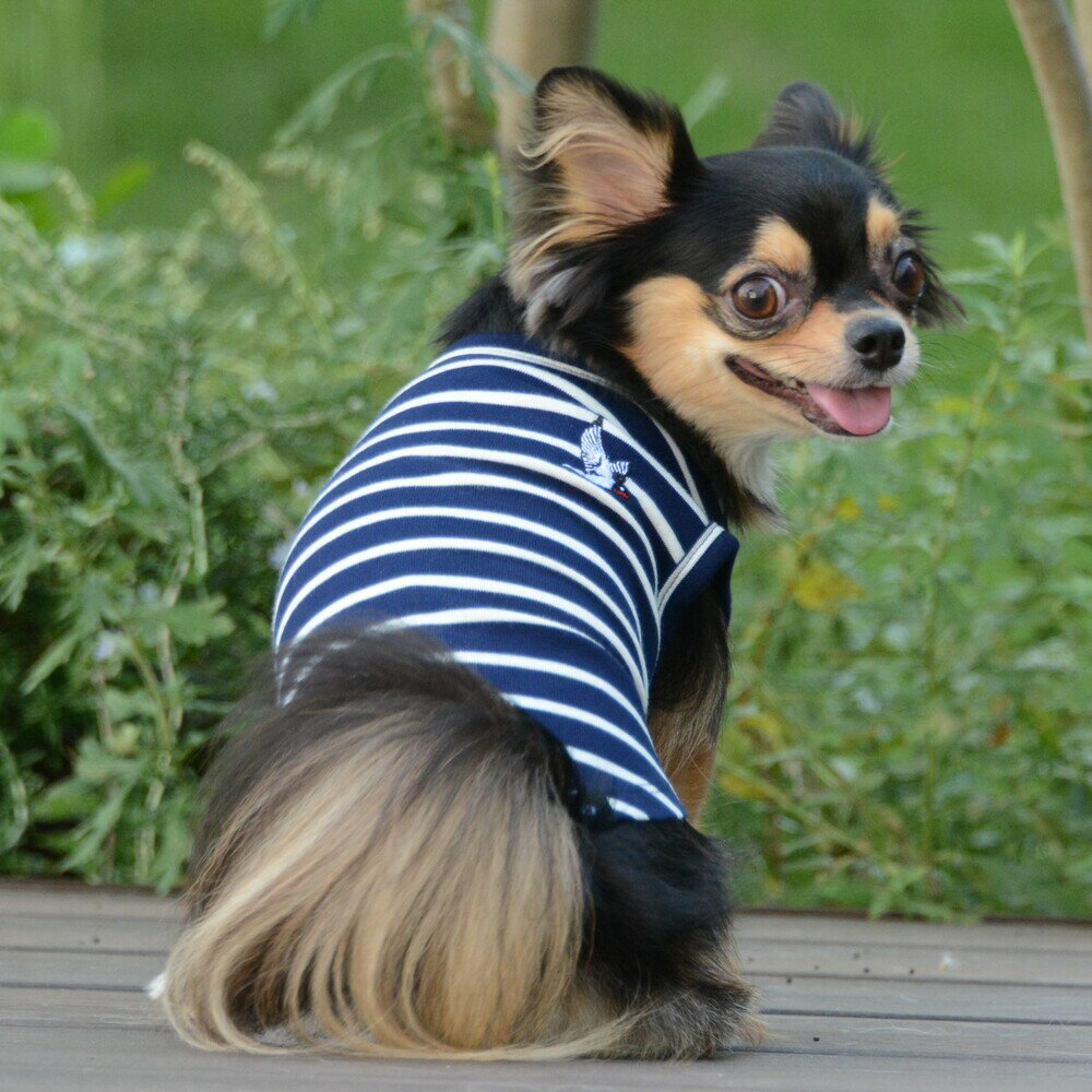 [型番:LFW219-2500]トラディショナルなネイビーが特徴のボーダータンク。シンプルながらどんなシーンにも良く似合います。全3色展開なので愛犬の毛色に合わせて選んでみてください。■カラー：ネイビー、グリーン、レッドサイズ 背丈(cm)...