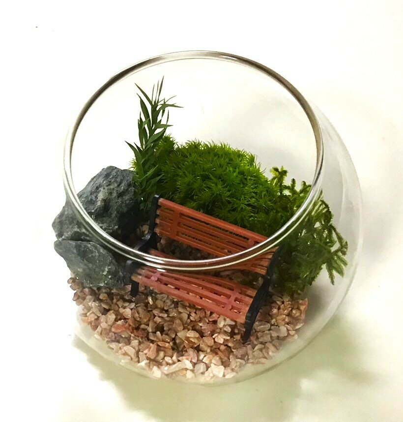 [型番:11146KP]お手入れ不要の苔テラリウム「苔プリ」。本物の苔（国産）に特殊な保存加工（プリザーブド加工）を施して、自然な風合いに色染めした商品です。お手軽なインテリアとして癒しの空間を長くお楽しみいただけます。ご注意：プリザーブド...