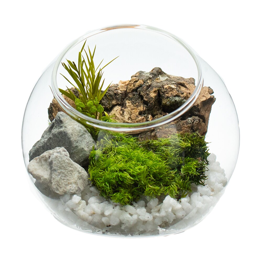 [型番:11187KP]お手入れ不要の苔テラリウム「苔プリ」。本物の苔（国産）に特殊な保存加工（プリザーブド加工）を施して、自然な風合いに色染めした商品です。お手軽なインテリアとして癒しの空間を長くお楽しみいただけます。ご注意：プリザーブド...
