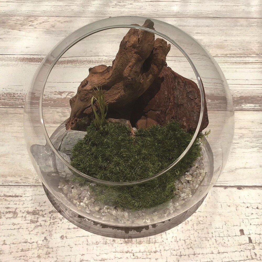 [型番:11194KP]お手入れ不要の苔テラリウム「苔プリ」。本物の苔（国産）に特殊な保存加工（プリザーブド加工）を施して、自然な風合いに色染めした商品です。お手軽なインテリアとして癒しの空間を長くお楽しみいただけます。ご注意：プリザーブド...