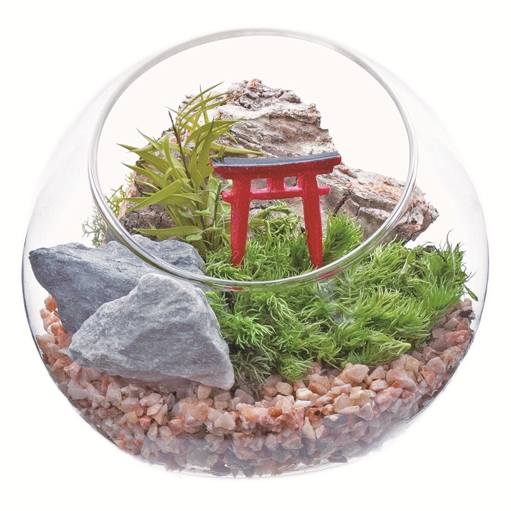 [型番:11230KP]お手入れ不要の苔テラリウム「苔プリ」。本物の苔（国産）に特殊な保存加工（プリザーブド加工）を施して、自然な風合いに色染めした商品です。お手軽なインテリアとして癒しの空間を長くお楽しみいただけます。ご注意：プリザーブド...
