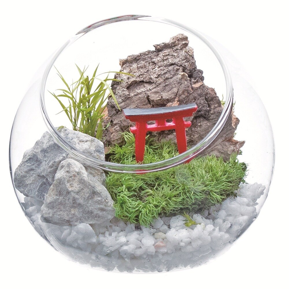 [型番:11231KP]お手入れ不要の苔テラリウム「苔プリ」。本物の苔（国産）に特殊な保存加工（プリザーブド加工）を施して、自然な風合いに色染めした商品です。お手軽なインテリアとして癒しの空間を長くお楽しみいただけます。ご注意：プリザーブド...