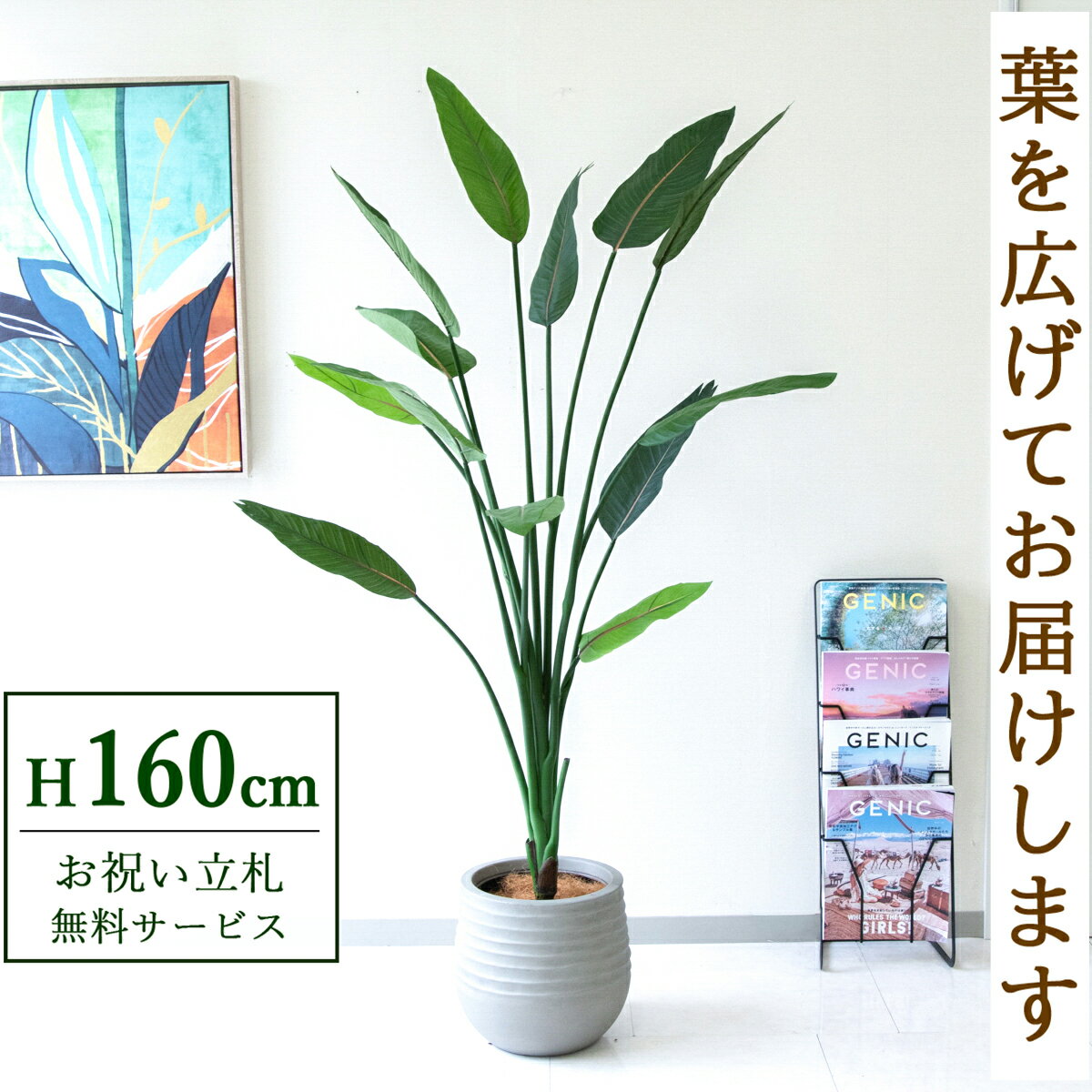 商品情報 (PG122-J30)高さ：H約160cm 鉢サイズ：Φ約30cm/H約27.5cm鉢材質：FRP鉢 ご利用案内 詳細はこちらからご確認ください 商品について ■「輝かしい未来」を象徴する、スタイリッシュな極楽鳥花 空に向かって羽...