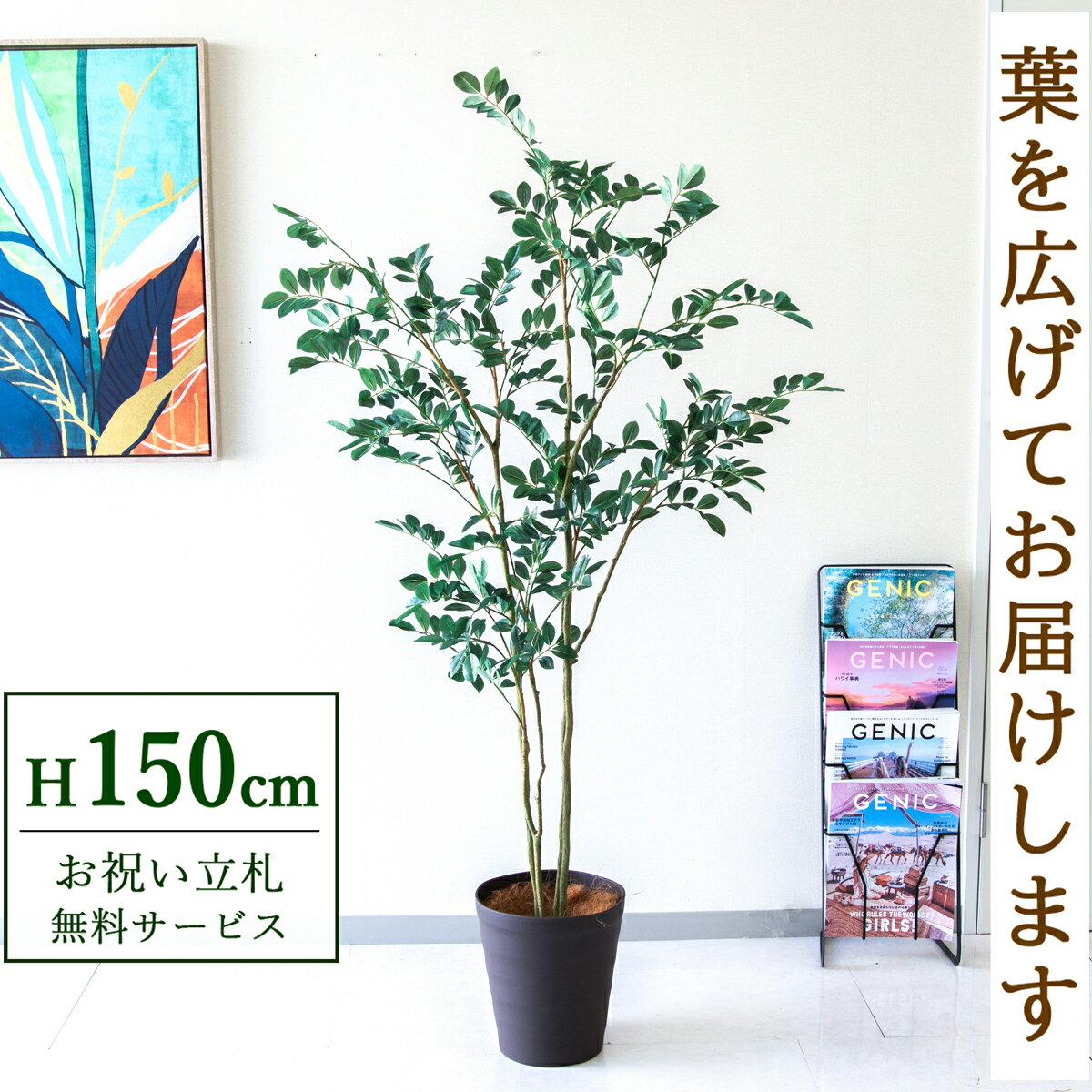 商品情報 (PG1004-B240BR)高さ：H約150cm 鉢サイズ：Φ約24cm/H約26cm鉢材質：ポリプロピレン鉢 ご利用案内 詳細はこちらからご確認ください 商品について ■「幸福をもたらす木」フィカス・ベンジャミン 小さく丸い葉...