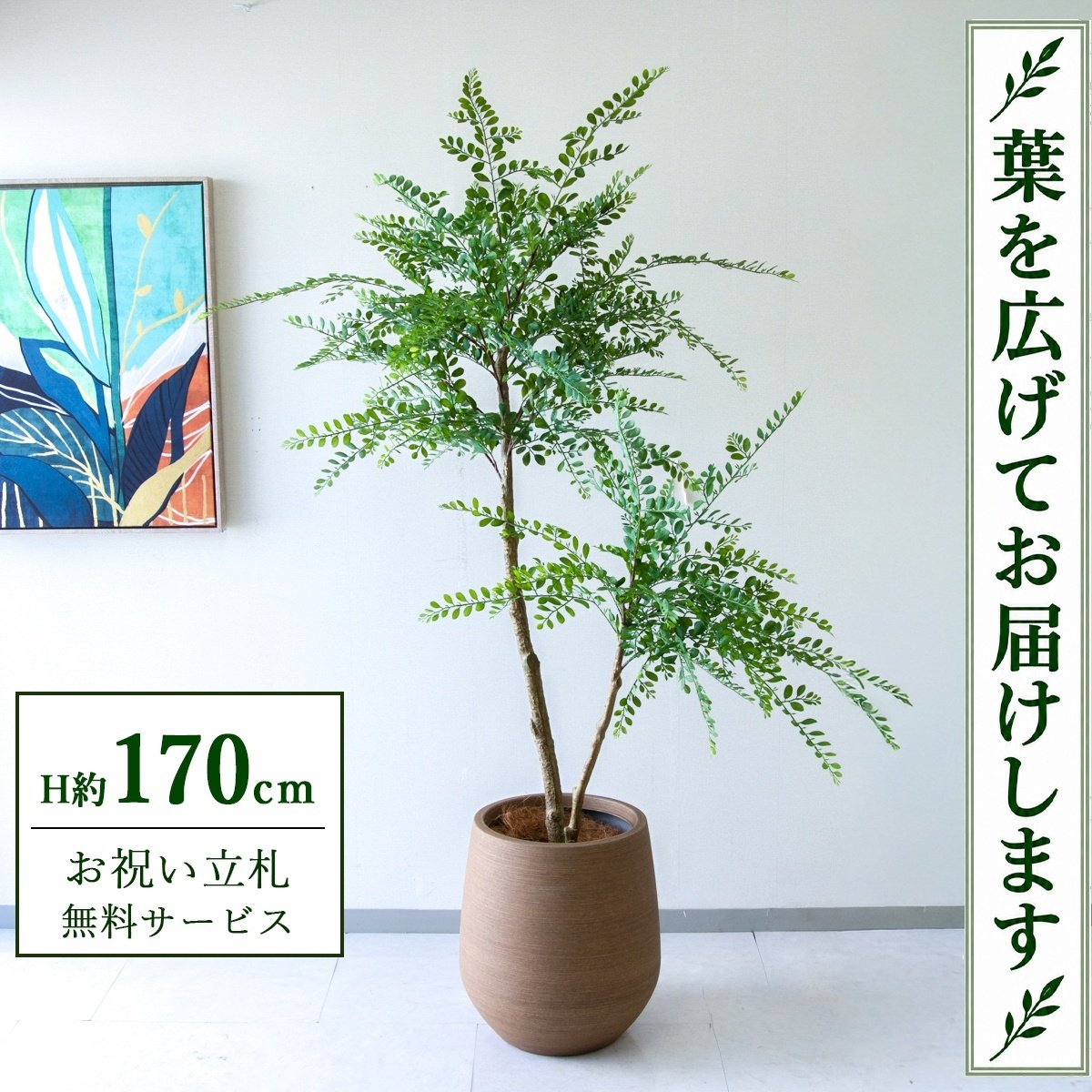 商品情報 (PG1013-KAO38LB)高さ：H約170cm 鉢サイズ：φ約38.5cm/H約42.5cm鉢材質：ポリエチレン鉢 ご利用案内 詳細はこちらからご確認ください 商品について ■爽やかな風を感じるシンボルツリー「トネリコ」 小...