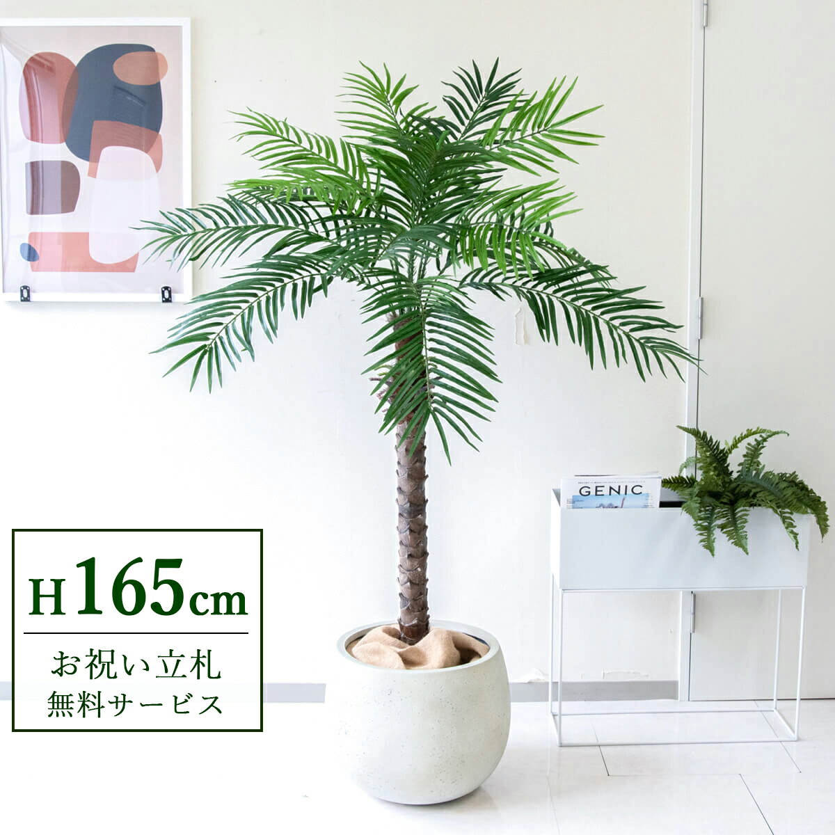 商品情報 (PG212-D42IV)高さ：H約165cm鉢サイズ：Φ約42cm/H約34cm鉢材質：FRP鉢 ご利用案内 詳細はこちらからご確認ください 商品について ■南国の楽園を再現する、迫力のシンボルツリー 太い幹からアーチ状に広がる...