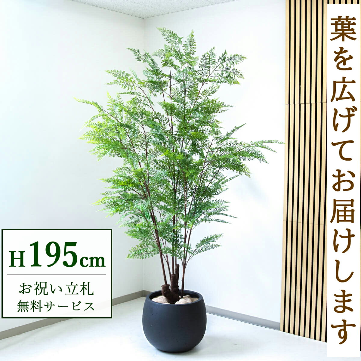 商品情報 (PG233-D42BK)高さ：H約195cm鉢サイズ：Φ約42cm/H約34cm鉢材質：FRP鉢 ご利用案内 詳細はこちらからご確認ください 商品について ■森の息吹を感じる癒やしのグリーン「ファーン」 幾重にも重なる繊細な葉が...