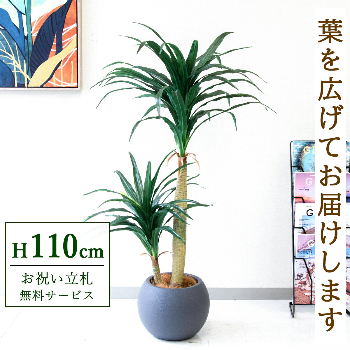 商品情報 (PG014-ROM27GY)高さ：H約110cm 鉢サイズ：Φ約27cm/H約21cm鉢材質：プラスチック鉢 ご利用案内 詳細はこちらからご確認ください 商品について ■都会的でシャープな「真実の木（コンシナ）」 細く尖った葉が...