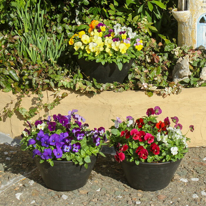 【同梱不可】基本的に他の商品と同梱発送できません 他の商品と一緒にご注文を頂いた場合は、送料無料と表記されますが別途送料が掛かります。例外的に小さいもので送料無料で同梱出来る場合は店舗よりご案内致します。 【送料無料】 ※北海道沖縄への発送...