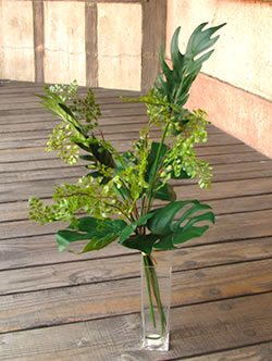 ※3種類のアソートとなります、含まれる植物のそれぞれの本数は変更になる場合がございます。 ※商品の特性上、葉の端にほつれがございます。 ※また輸送中の振動などで、茎や葉がお届け時にが曲がっていたり、一部葉が外れてしまう事がありますが、手直し...