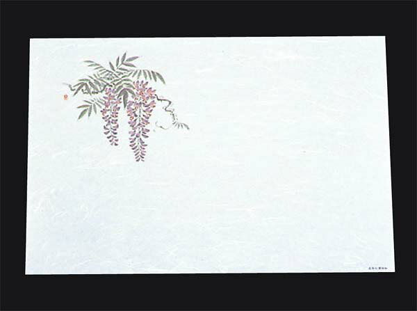 ●型番：WS-10●サイズ264×390(mm)●材質抗菌遠赤和紙●抗菌：○●検定証印等：特許取得・PAT・抗菌力試験(財)日本食品分析センター 第NA69080248・第NA69100648●優れた抗菌効果と遠赤外線放射●雑菌(大腸菌・病...