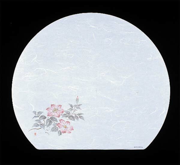 ●型番：WH-12●サイズ320×370(mm)●材質抗菌遠赤和紙●抗菌：○●検定証印等：特許取得・PAT・抗菌力試験(財)日本食品分析センター 第NA69080248・第NA69100648●優れた抗菌効果と遠赤外線放射●雑菌(大腸菌・病...