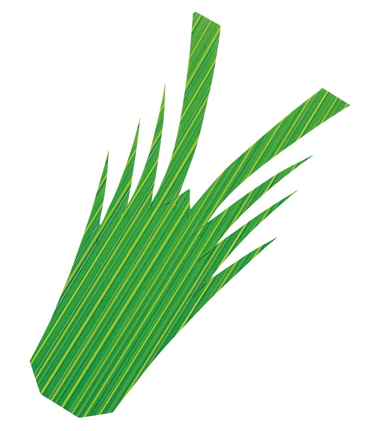 ●サイズ125×60(mm)●生バランは黄色の線が等間隔に入っています。※商品画像はメーカー提供の代表画像を使用しております。複数掲載の画像でも、単品販売の場合がございます。サイズ・カラー・型番・付属品等は商品名・商品説明欄をご確認ください...