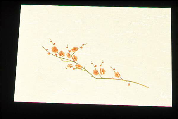 ●型番：WSS-3●サイズ264×390(mm)●材質遠赤抗菌和紙●抗菌：○●検定証印等：特許取得・PAT●波動の良い遠赤抗菌和紙でおもてなしの心を伝えて下さい●自然色クリームがお料理を引き立てます●優れた抗菌効果と遠赤外線放射※商品画像は...