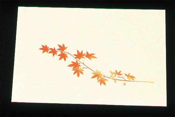 ●型番：WSS-12●サイズ264×390(mm)●材質遠赤抗菌和紙●抗菌：○●検定証印等：特許取得・PAT●波動の良い遠赤抗菌和紙でおもてなしの心を伝えて下さい●自然色クリームがお料理を引き立てます●優れた抗菌効果と遠赤外線放射※商品画像...