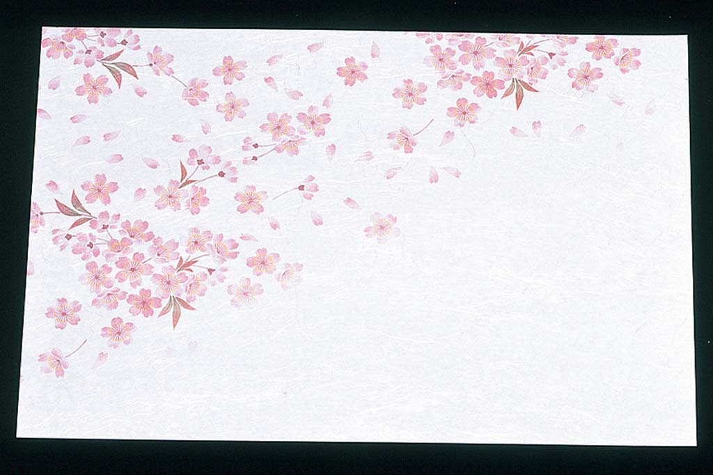 ●型番：HM-1●サイズ264×390(mm)●材質遠赤抗菌和紙●抗菌：○●検定証印等：特許取得・PAT●優れた抗菌効果と遠赤外線放射※商品画像はメーカー提供の代表画像を使用しております。複数掲載の画像でも、単品販売の場合がございます。サイ...