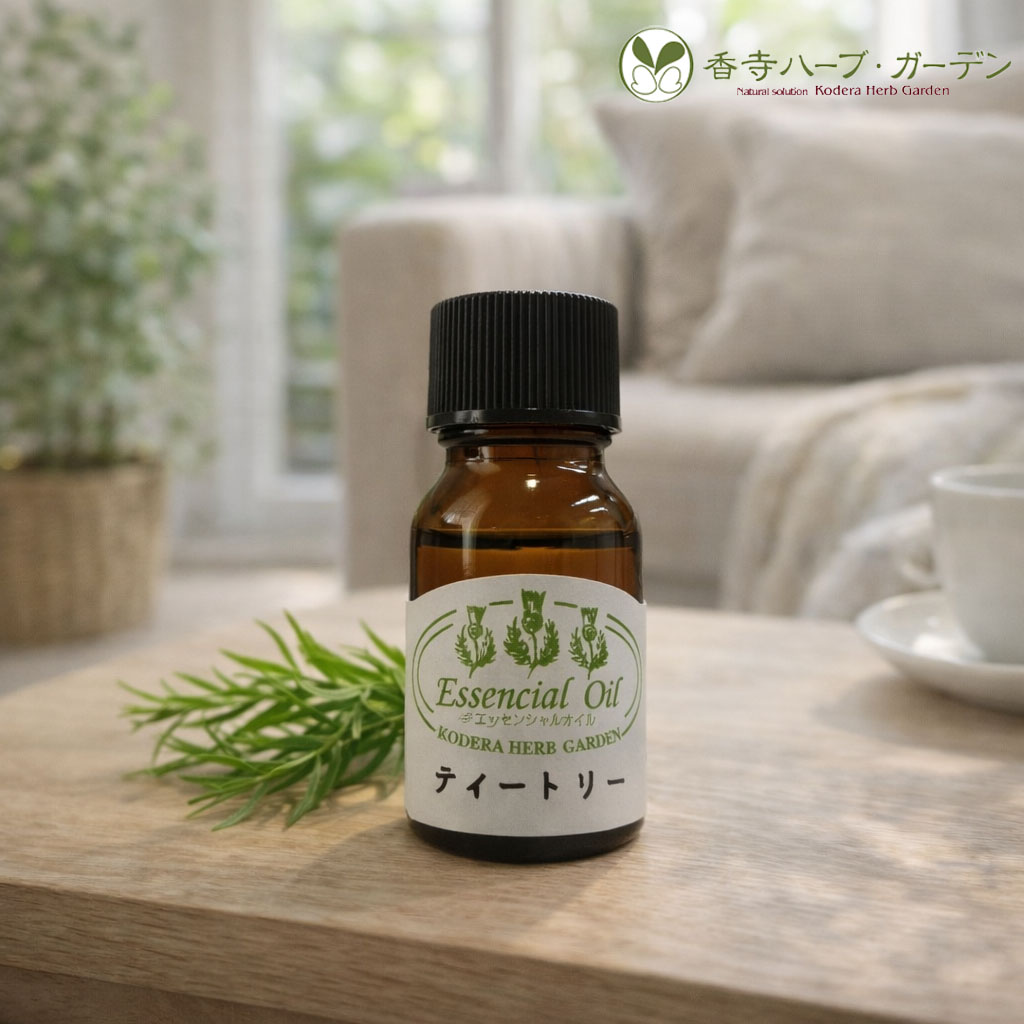 独特なすっきりとした香り。 お家の中のお掃除にもお勧めです。 ■品番&nbsp;2008 ■品名&nbsp;エッセンシャルオイル　ティートリー　10ml ■メーカー&nbsp;香寺ハーブ・ガーデン ■仕様・特徴 &nbsp;・原液を直接皮膚...