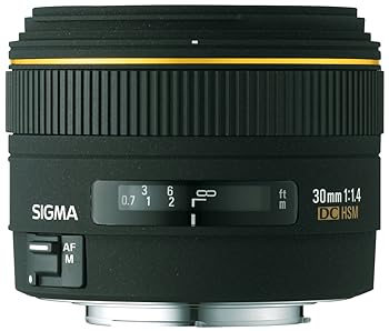 【中古】シグマ 30mm F1.4 EX DC デジタル専用 ソニー用【メーカー名】【メーカー型番】【ブランド名】シグマ(Sigma) アダプタ 【商品説明】シグマ 30mm F1.4 EX DC デジタル専用 ソニー用画像はイメージ写真で...