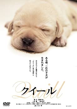 未使用、未開封品ですが弊社で一般の方から買取しました中古品です。一点物で売り切れ終了です。【中古】(未使用・未開封品)あの頃映画 松竹DVDコレクション クイール【メーカー名】松竹【メーカー型番】【ブランド名】松竹ホームビデオ【商品説明】あ...