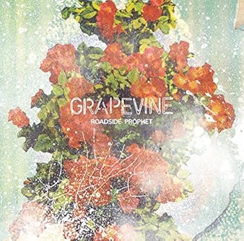 【中古】(未使用・未開封品)ROADSIDE PROPHET(通常盤) [CD] GRAPEVINE【メーカー名】ビクターエンタテインメント【メーカー型番】【ブランド名】【商品説明】ROADSIDE PROPHET(通常盤) [CD] GR...