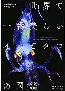 【中古】世界で一番美しいイカとタコの図鑑 愛蔵ポケット版【メーカー名】エクスナレッジ【メーカー型番】峯水 亮【ブランド名】【商品説明】世界で一番美しいイカとタコの図鑑 愛蔵ポケット版当店では初期不良に限り、商品到着から7日間は返品を 受付け...