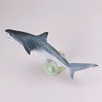 【状態　非常に良い】【中古】カプセルQミュージアム 日本の動物コレクション7 八重山諸島/ヤマネコの島 ［52.イタチザメ］(単品)【ジャンル】カプセル玩具【Brand】海洋堂(KAIYODO)【Contributors】【商品説明】カプセ...