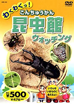 (中古品)昆虫館 (こんちゅうかん) ウォッチング AND-325 K45 [DVD]【メーカー名】キープ【メーカー型番】【ブランド名】【商品説明】昆虫館 (こんちゅうかん) ウォッチング AND-325 K45 [DVD]当店では初期不良...
