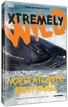 【中古】North Atlantic's Most Endangered Whales [DVD]【ジャンル】ドキュメンタリー, ホビー・実用【Brand】【Contributors】【商品説明】North Atlantic's Most ...