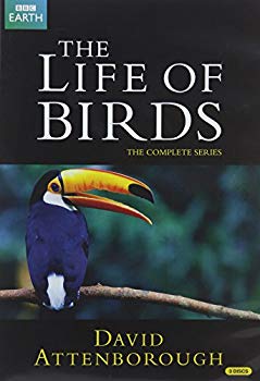 【状態　非常に良い】(中古品）BBC The Life of Birds -鳥の世界- DVD-BOX (10エピソード 489分) BBC EARTH ライフシリーズ [DVD] [Import] [PAL 再生環境をご確認ください]【メ...