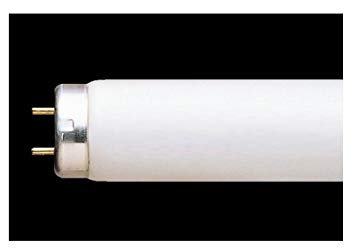 東芝 FHF32EX-W-H 白色■25本セット【新型番FHF32EX-W-HGU】【メーカー名】東芝【メーカー型番】【ブランド名】東芝(TOSHIBA)【商品説明】東芝 FHF32EX-W-H 白色■25本セット【新型番FHF32EX-W...