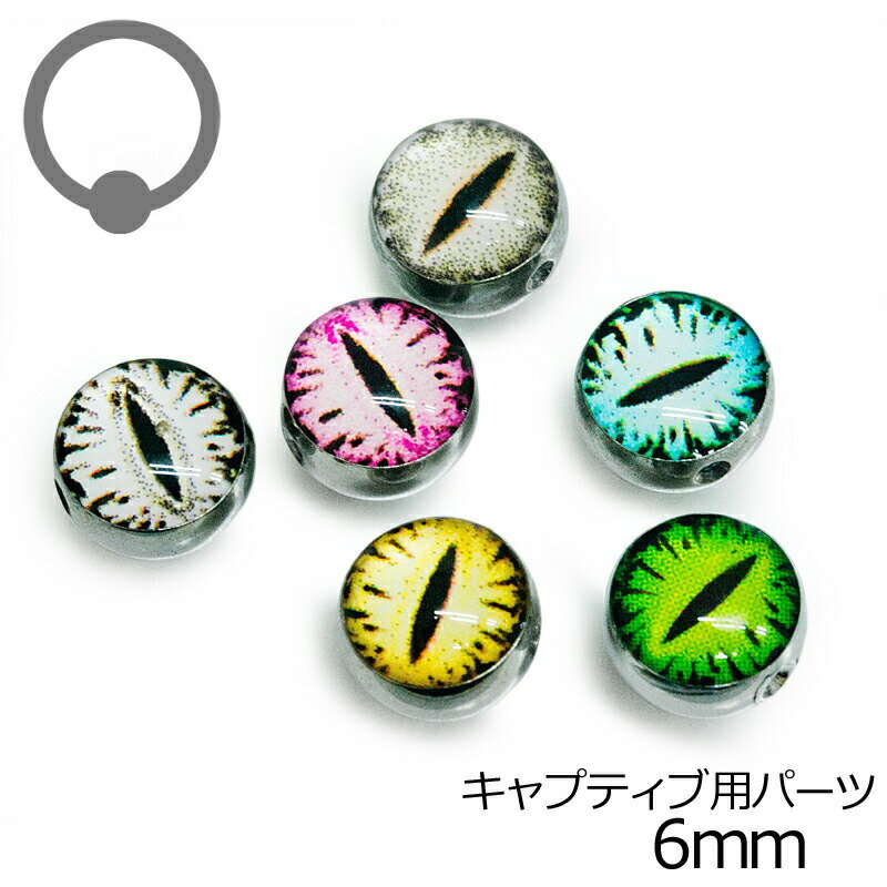 カラー シルバー目玉カラー：A/B/C/D/E/F サイズ ボールサイズ：6mm 素材 316Lサージカルステンレス 備考 ※キャプティブ専用キャッチです。シャフトは別売りです。 ※交換前の備え付けキャッチと同じサイズのキャッチでも、窪み部...