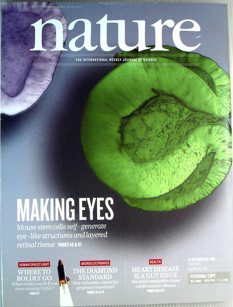 【中古】nature　2011年4月7日号。 言語：英語。発行所：ネイチャー・ジャパン。商品サイズ：27.6×21×0.5 cm。【中古】nature　2011年4月7日号。 【コンデション＝非常に良い】定価9,560円。表紙、中身は破れや...