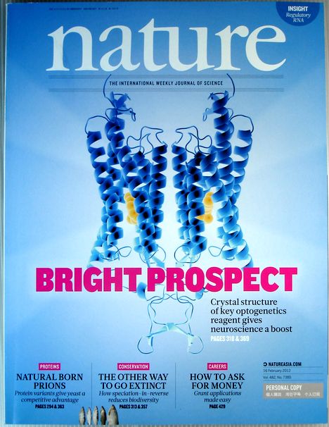 【中古】nature　2012年2月16日号。 言語：英語。発行所：ネイチャー・ジャパン。商品サイズ：27.6×21×0.7 cm。 【コンデション＝非常に良い】定価10,420円。表紙、中身は破れや書き込みなく良好です。【中古】natur...