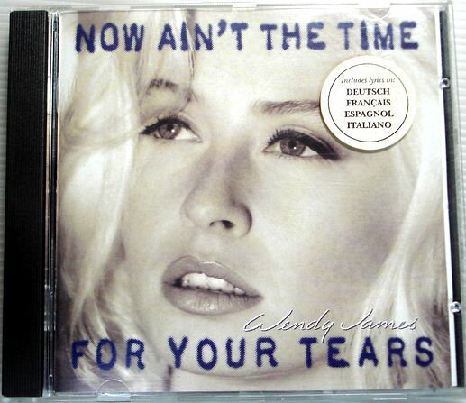 【中古CD】Now ain't the time for your tears。【中古CD】Now ain't the time for your tears。 【コンデション＝非常に良い】【レンタル落ちではありません】デスク（盤面綺麗です...