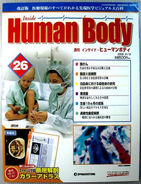 【中古】週刊　インサイド・ヒューマンボディ　2005年8月9日号　No.26。 発行所：デアゴスティーニ。2005年8月9日発売。商品サイズ：29×22×0.3cm。 【コンデション＝非常に良い】綴じ込み付録付き。本体、中身は破れや書き込み...