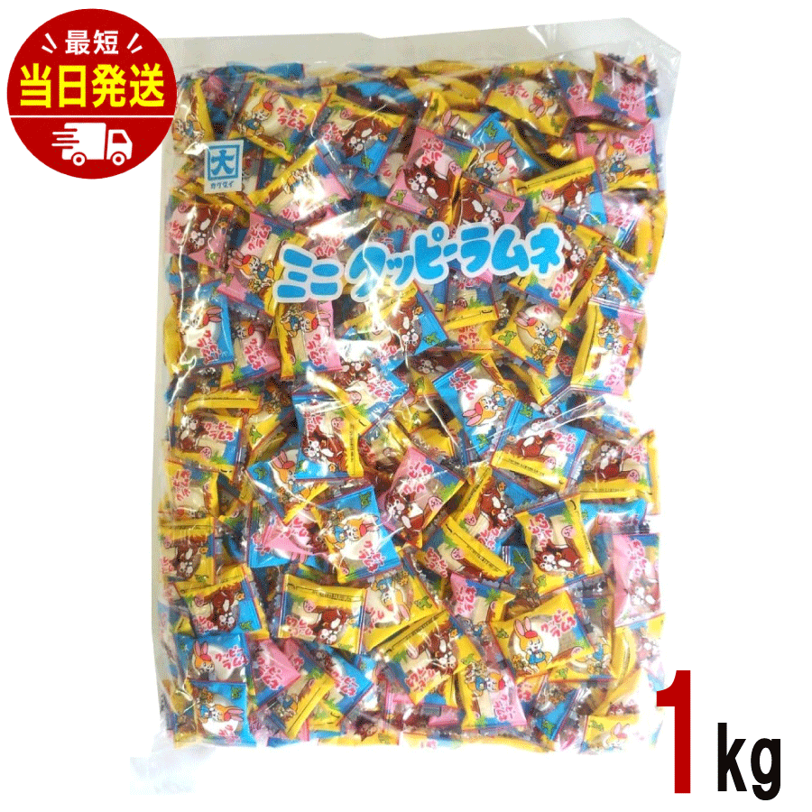 ▼▼▼▼▼▼▼▼▼▼▼▼▼▼▼▼▼▼▼▼▼▼▼▼ ※免責事項※　商品画像はイメージとなりまして、パッケージ変更・内容量の規格変更がある場合がございます。また商品をより安価でご提供させて頂くに際しまして、再梱包（外箱が付かない場合あり）でのお...