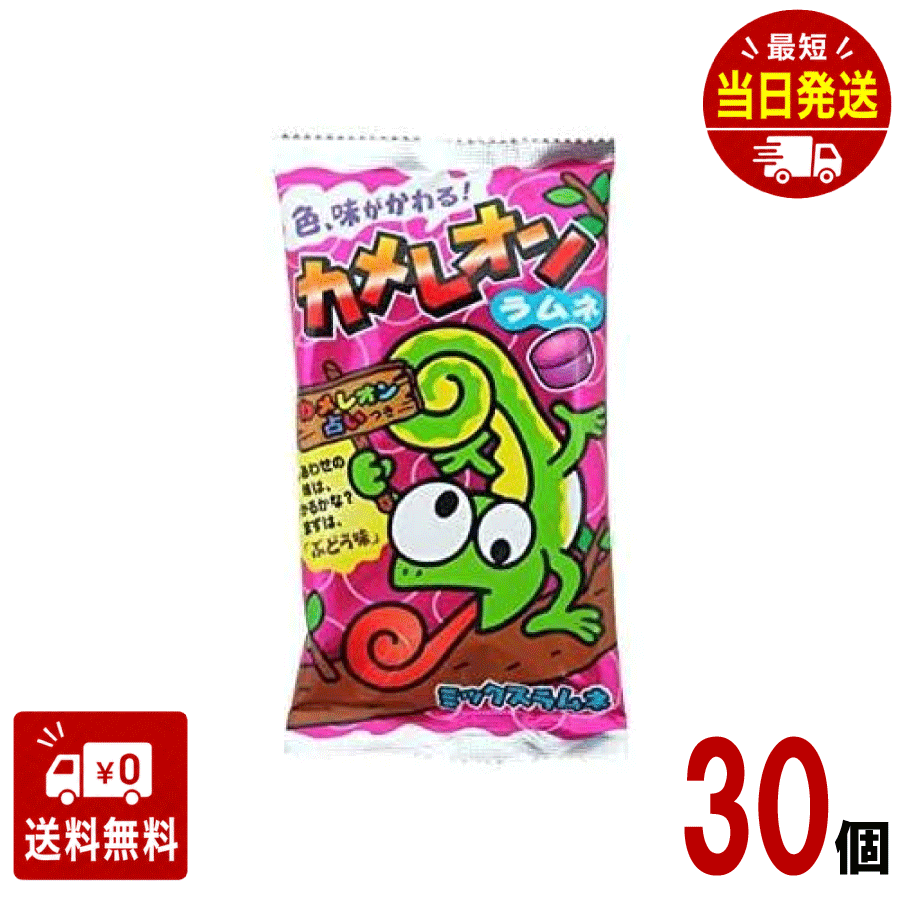 ▼▼▼▼▼▼▼▼▼▼▼▼▼▼▼▼▼▼▼▼▼▼▼▼ ※免責事項※　商品画像はイメージとなりまして、パッケージ変更・内容量の規格変更がある場合がございます。また商品をより安価でご提供させて頂くに際しまして、再梱包（外箱が付かない場合あり）でのお...